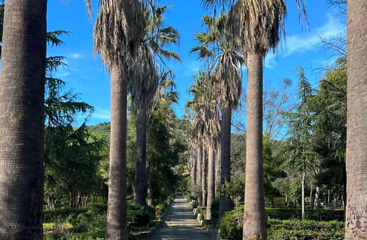 Lamezia, “Summer Camp” natura al Parco Dossi Comuni: “Immaginaria ...