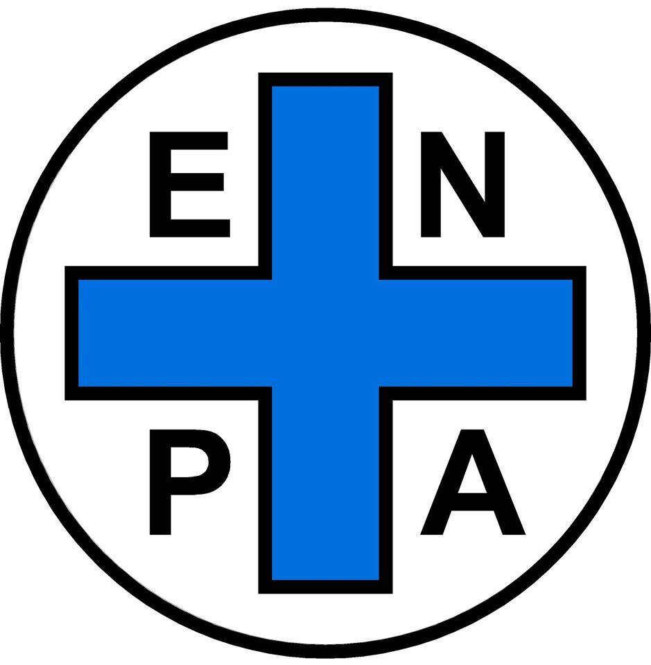 Gatto ucciso davanti alunni a Gioia Tauro, Enpa: 'Sospendere il ...