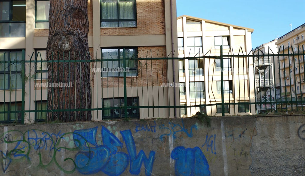 Lamezia, interventi drastici per la sicurezza: in corso abbattimenti e ...