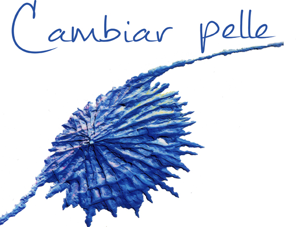 Calabria: “Cambiar pelle”, ultimo libro di Angela Zaffina l’8 novembre ...