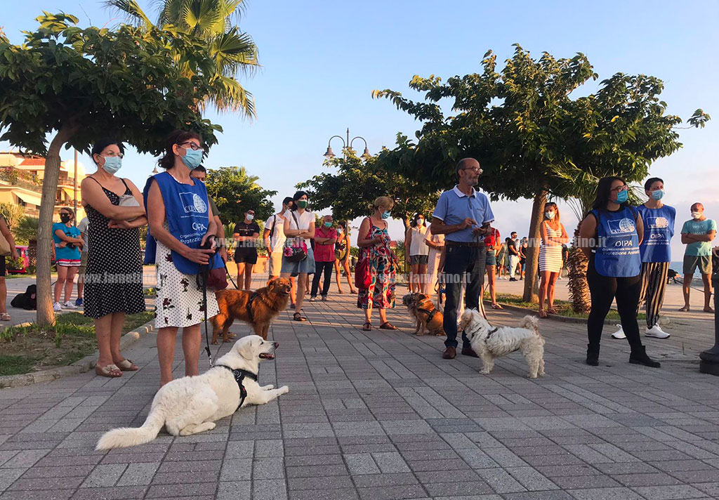 Sit-in contro ordinanza del sindaco di Falerna che vieta accesso ai ... Sit-in contro ordinanza del sindaco di Falerna che vieta accesso ai ...