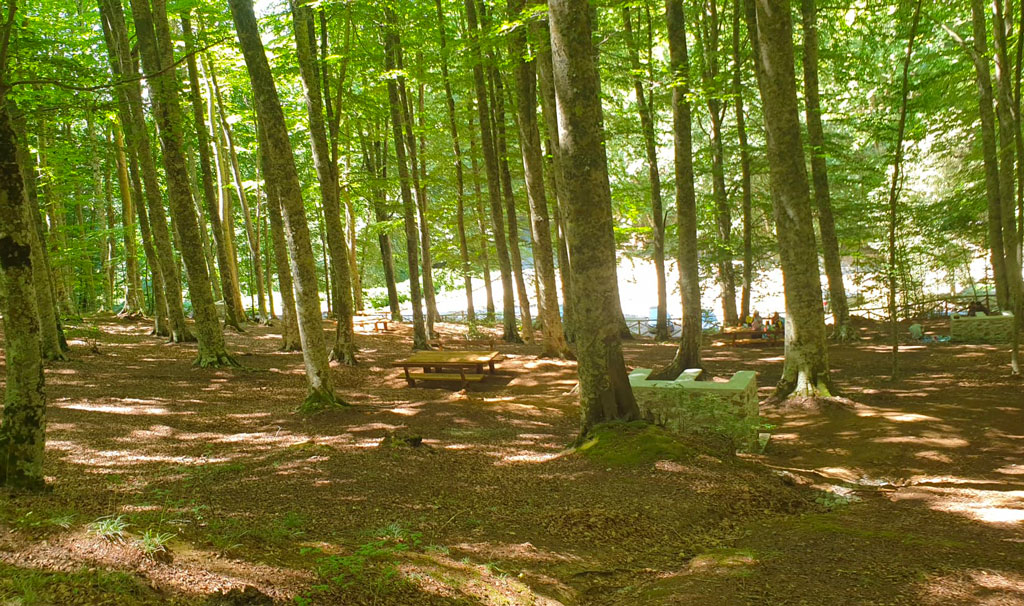 Rinnovata area attrezzata turistico-ricettiva ‘Faggeta di Monte Condrò ...